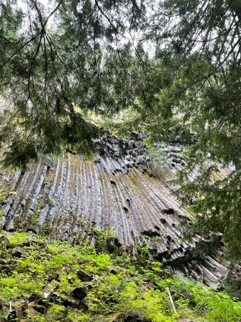 Tahoma Creek Suspension Bridge - Emerald Ridge Loop, Lake George, South Puyallup Trail, South ...